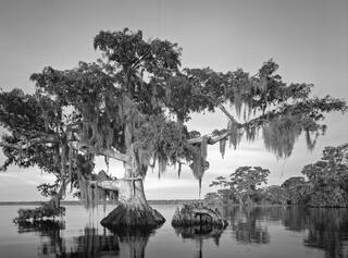 The Florida Black and White Gallery | John Brady Photography