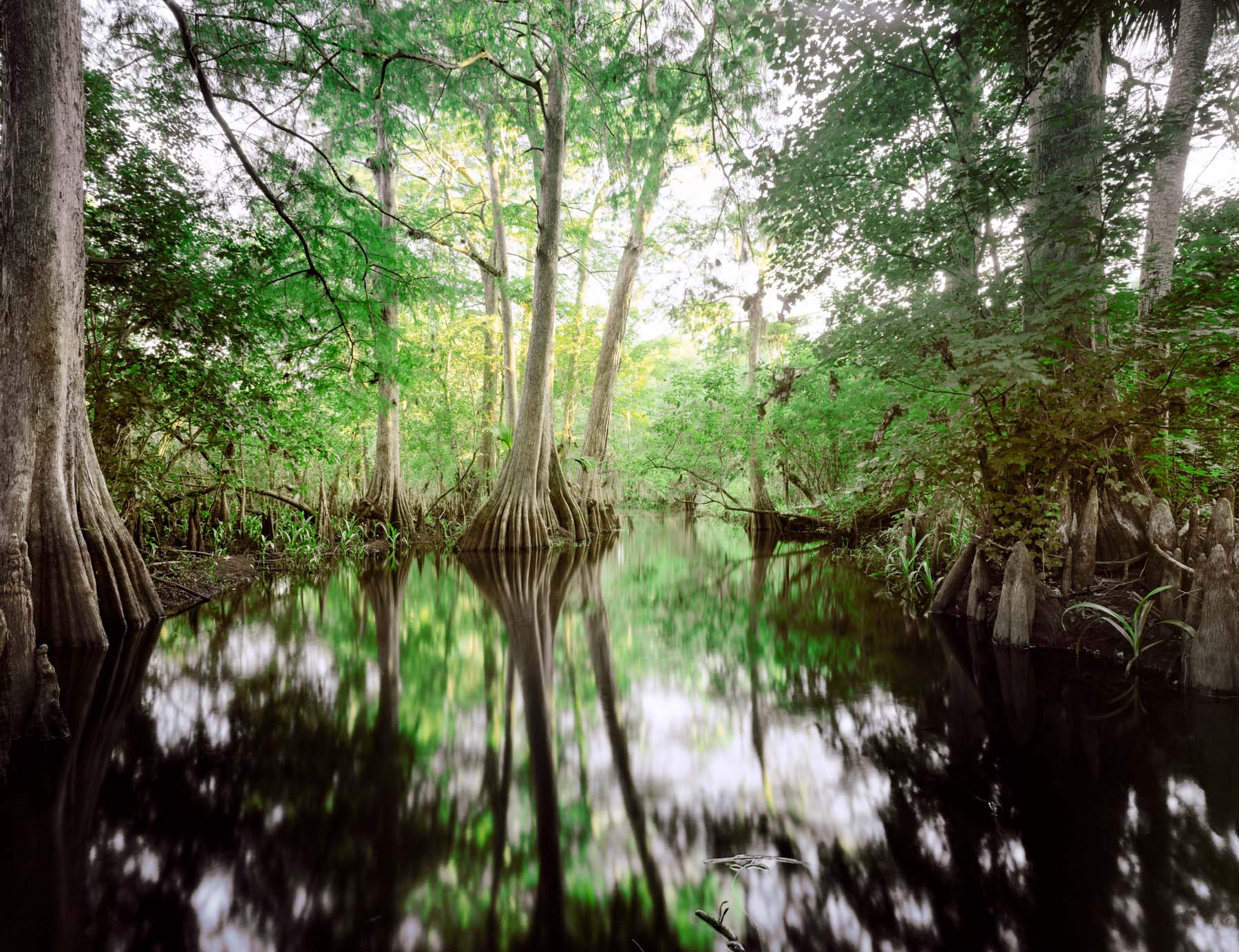 Loxahatchee 1 John Brady Photography loxahatchee-1-john-brady-photography