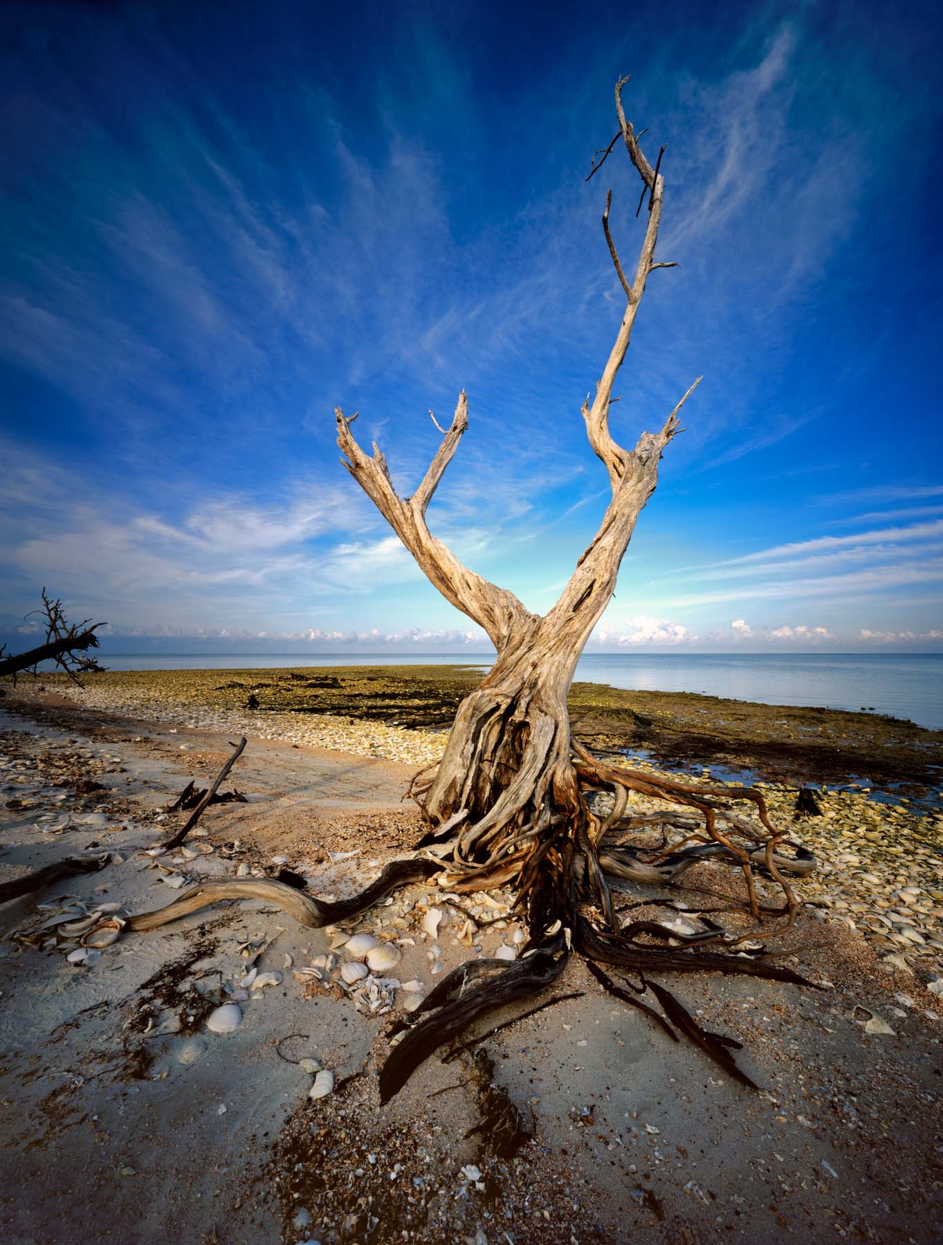Turkey Key #3 | John Brady Photography
