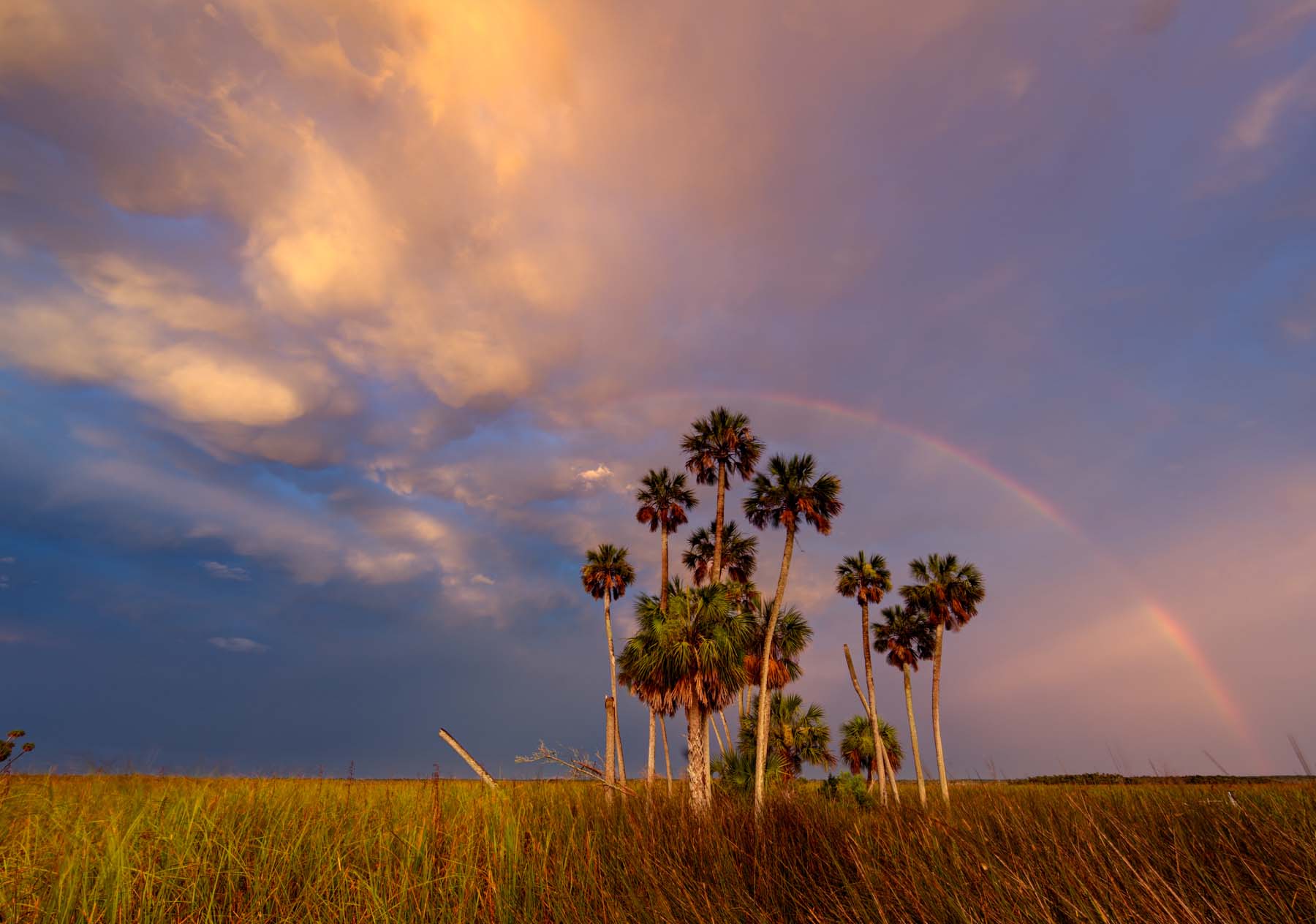 Chaz Storm #1 | John Brady Photography