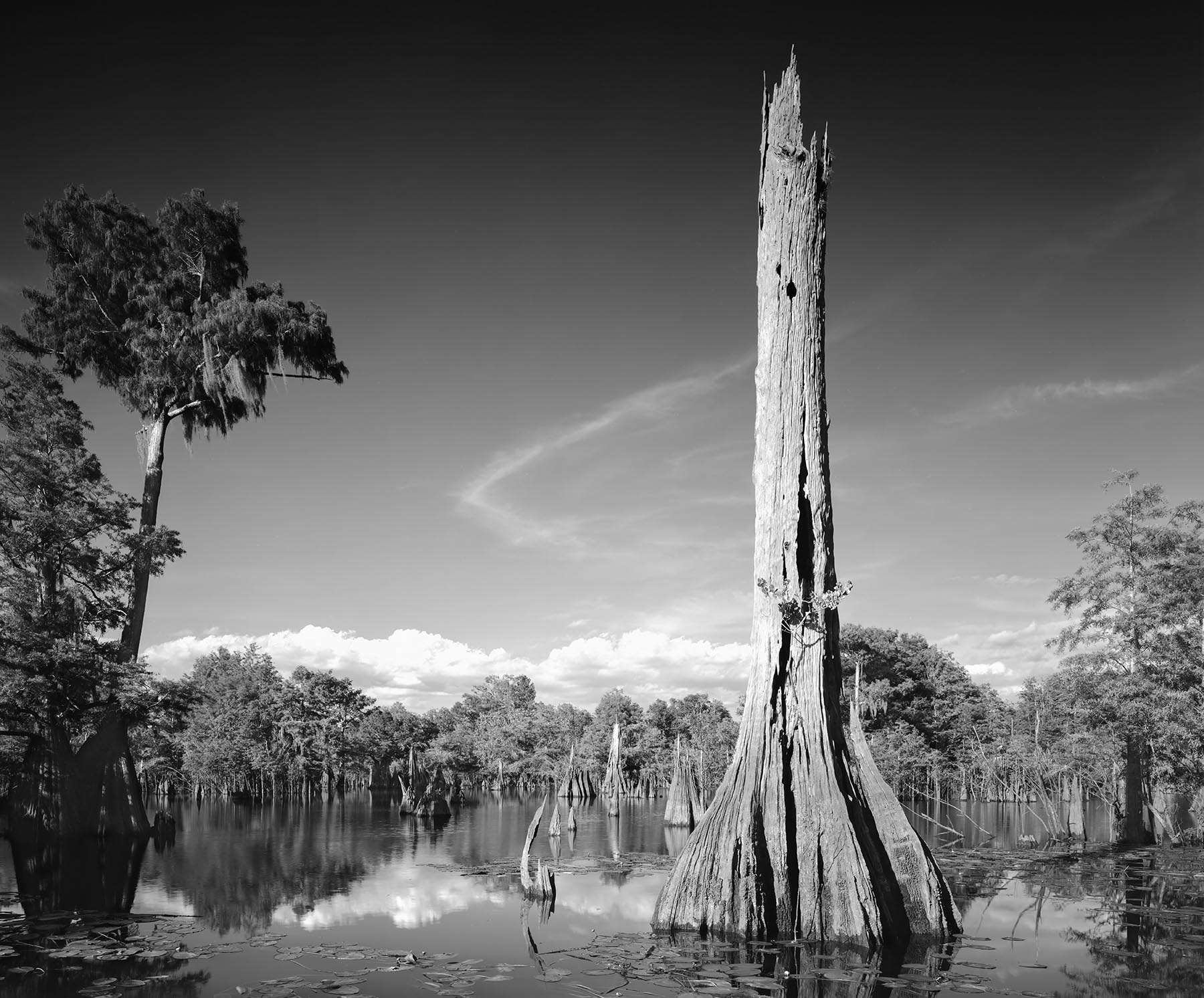 Dead Lakes 4 John Brady Photography dead-lakes-4-john-brady-photography