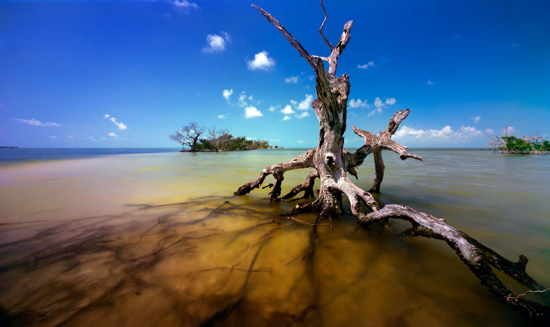 New Turkey Key #1 | Everglades National Park, Florida | John Brady ...