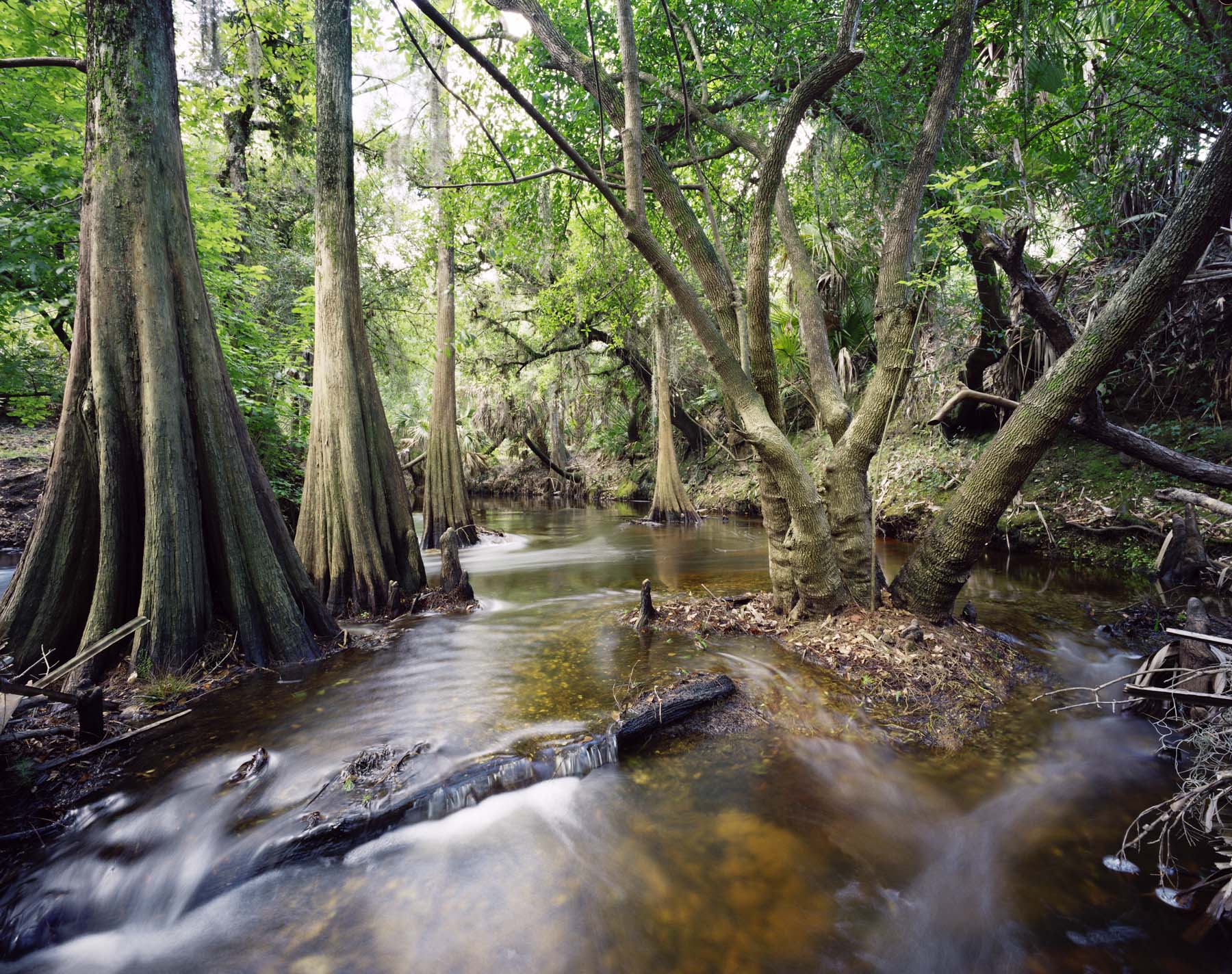 Shell Creek #1 | John Brady Photography